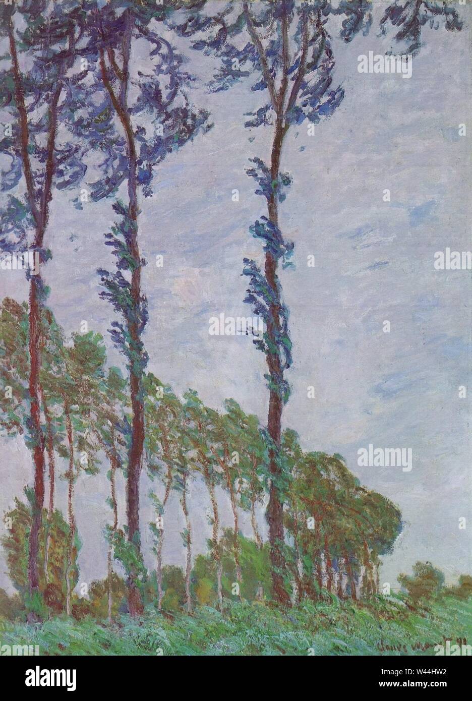 Poplars wind -Fotos und -Bildmaterial in hoher Auflösung – Alamy