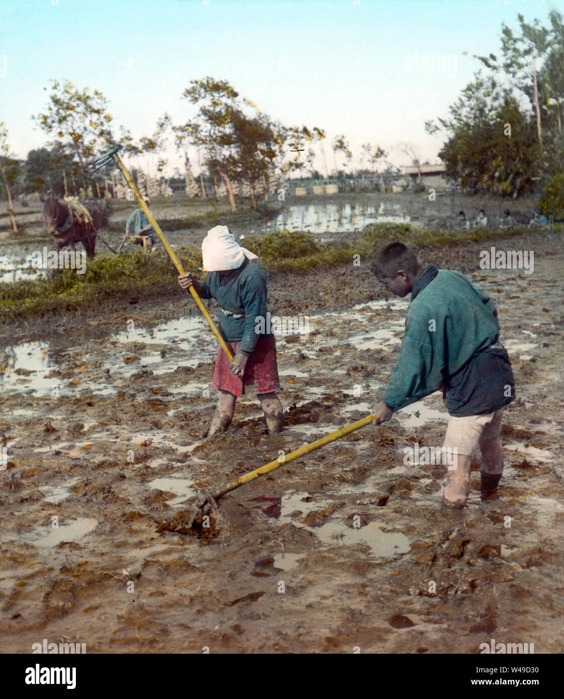 Farmers plow horses -Fotos und -Bildmaterial in hoher Auflösung – Alamy