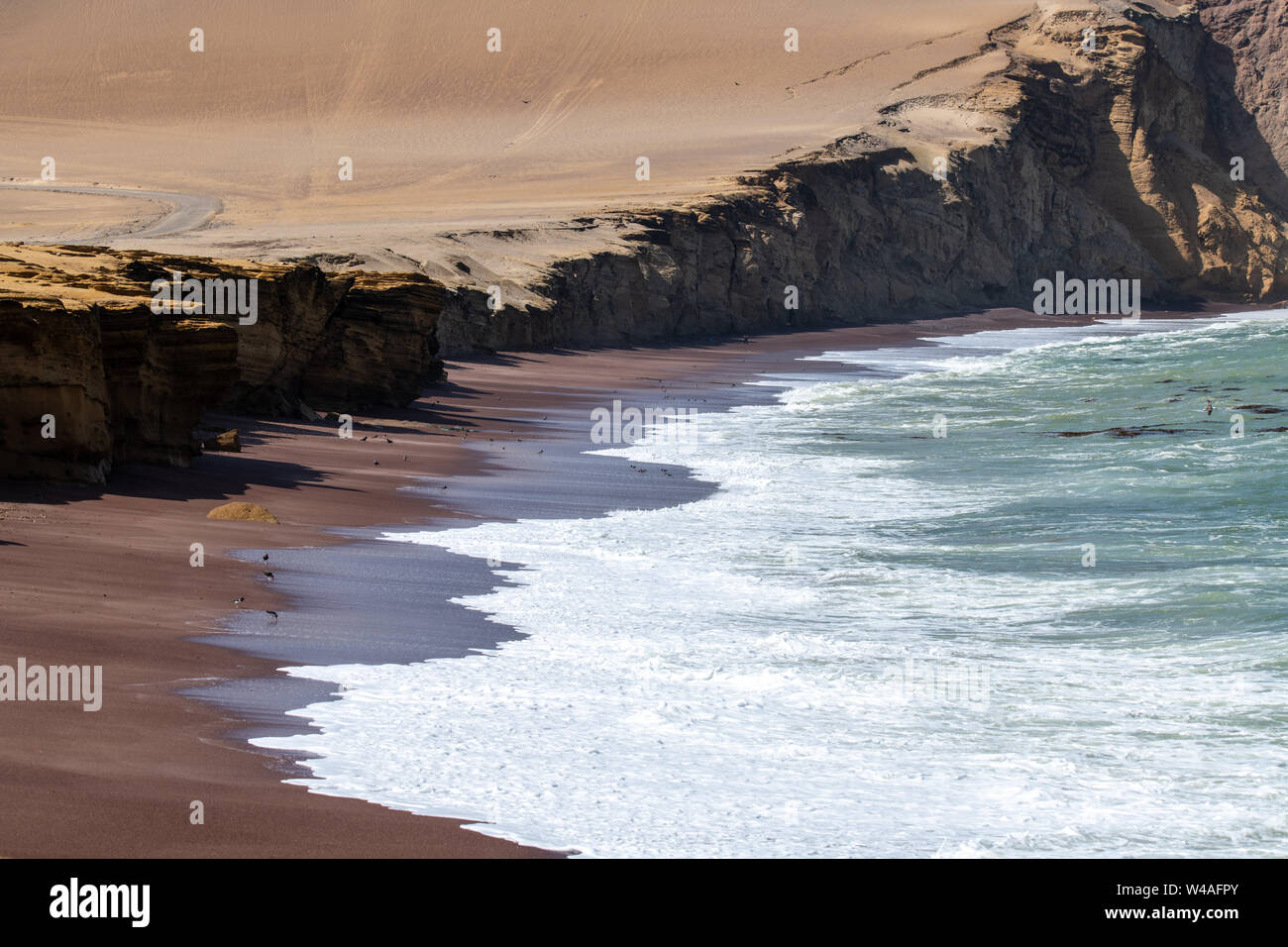 Reserva nacional de paracas -Fotos und -Bildmaterial in hoher Auflösung ...