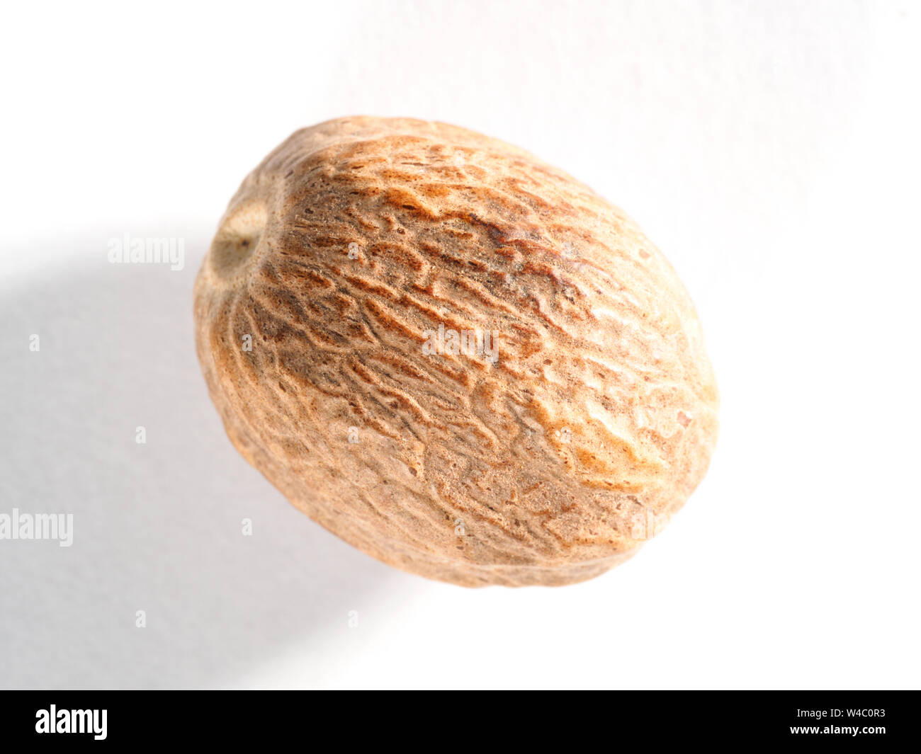 Muskatnuss myristica fragrans -Fotos und -Bildmaterial in hoher ...