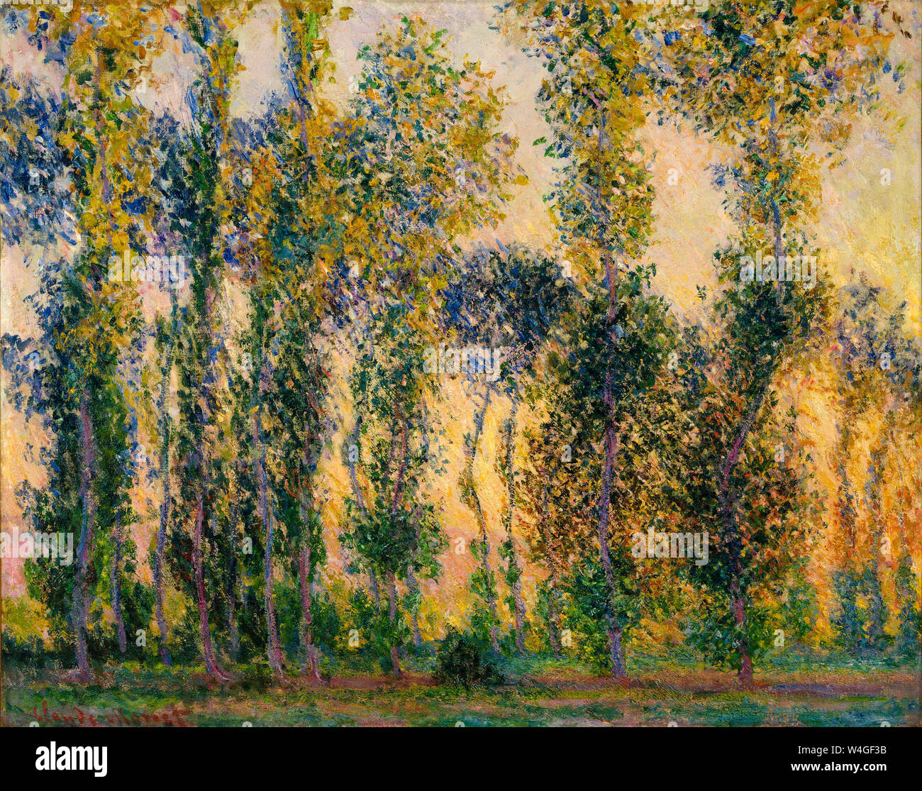 Monet pappeln -Fotos und -Bildmaterial in hoher Auflösung – Alamy