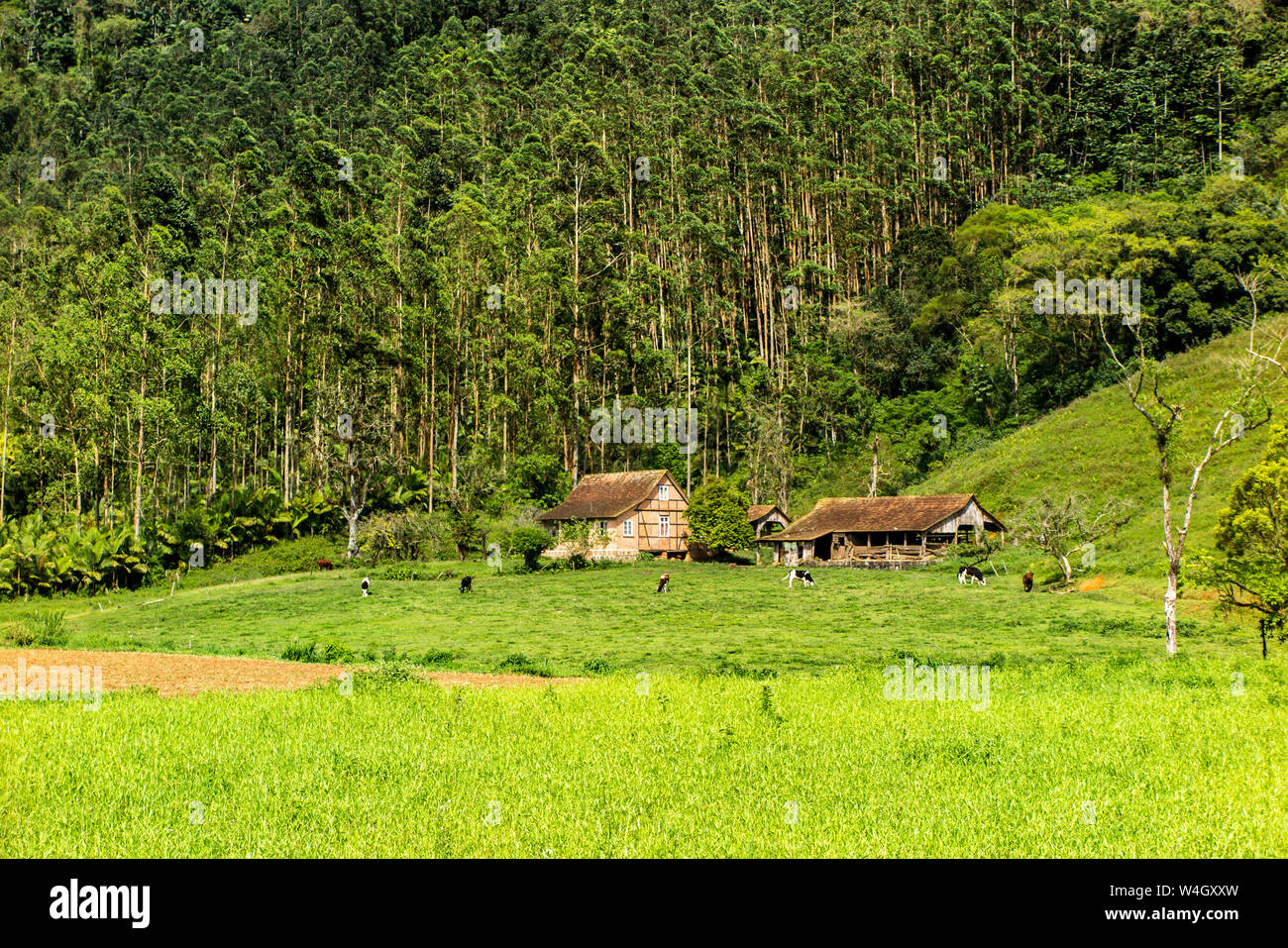 Wiese mit scheune und wald im hintergrund -Fotos und -Bildmaterial in hoher Auflösung – Alamy