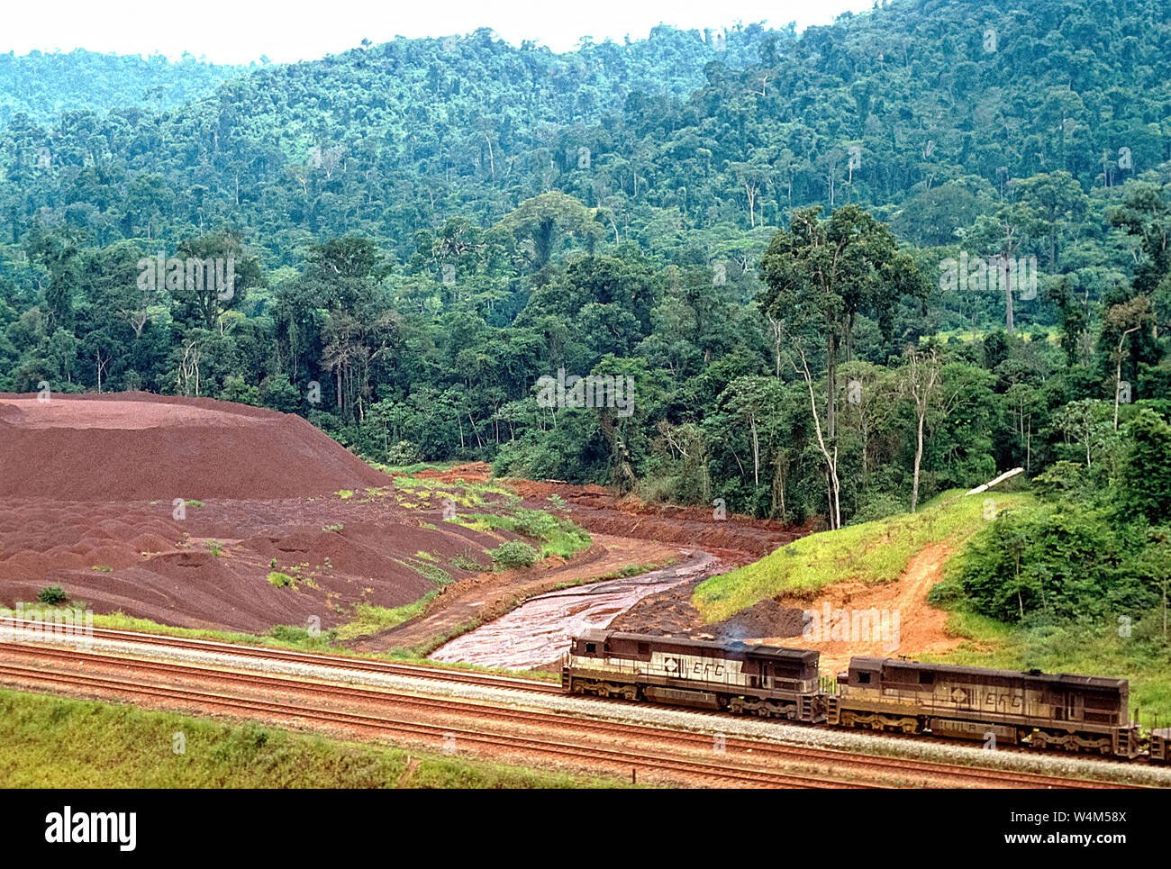 Tijuca regenwald -Fotos und -Bildmaterial in hoher Auflösung – Alamy