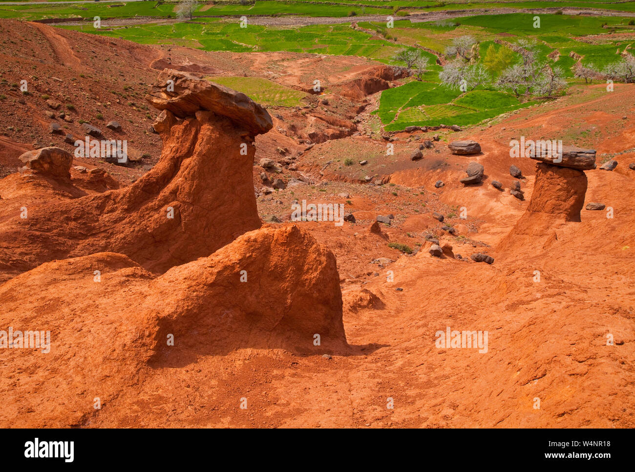 Hoher atlas alto atlas -Fotos und -Bildmaterial in hoher Auflösung – Alamy