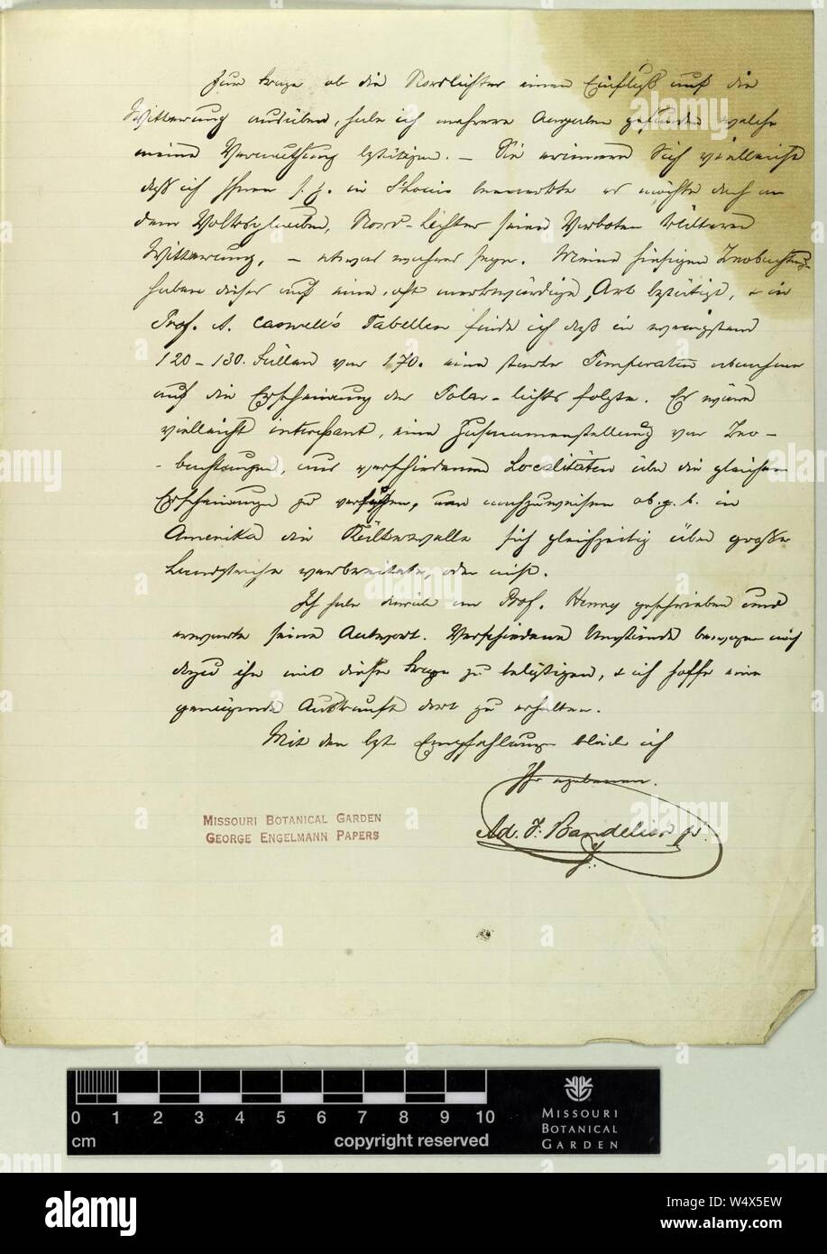 Adolph bandelier -Fotos und -Bildmaterial in hoher Auflösung – Alamy