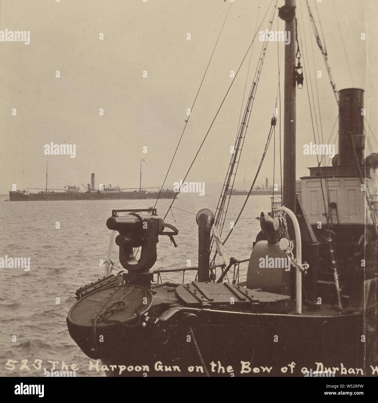 Wal harpune -Fotos und -Bildmaterial in hoher Auflösung – Alamy