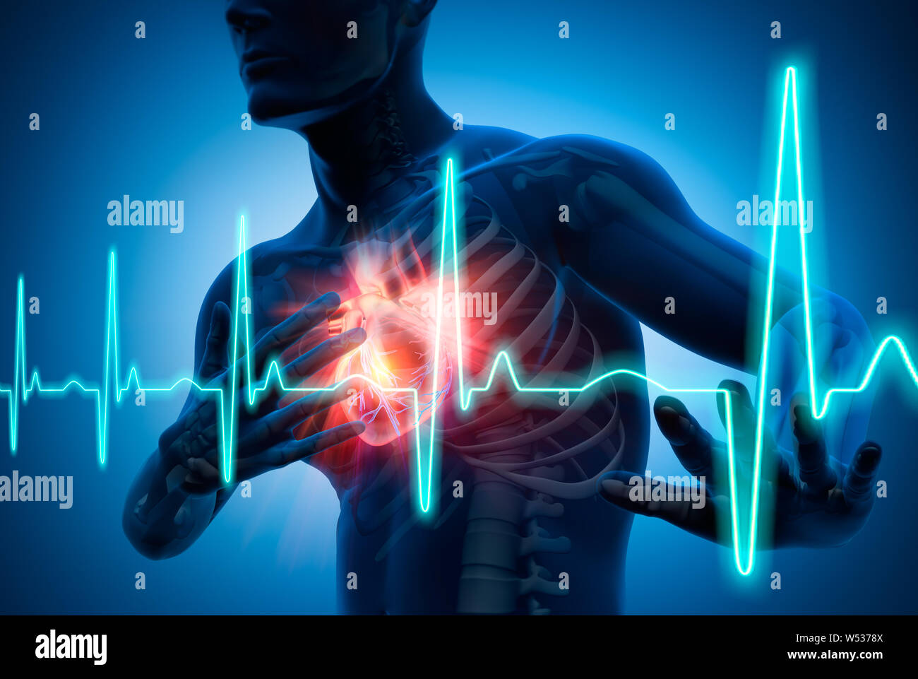 Brustkorb anatomie -Fotos und -Bildmaterial in hoher Auflösung – Alamy