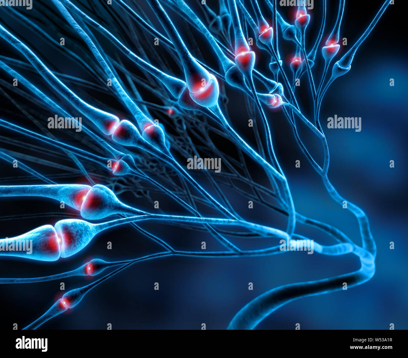 Aktive Nervenzellen, Synapsen - 3D-Darstellung Stockfotografie - Alamy