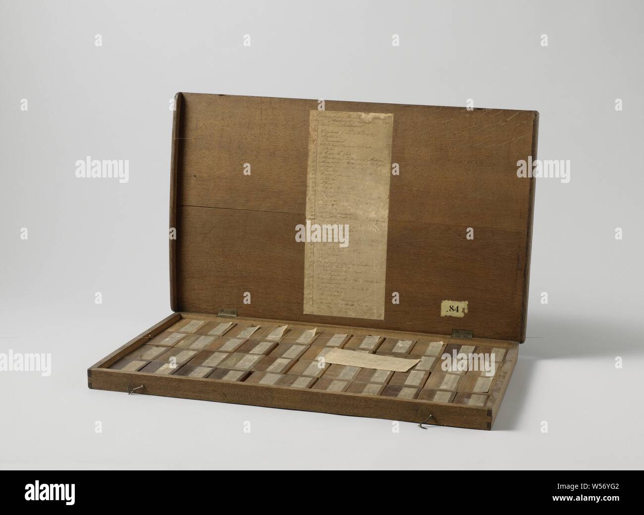 Ocotea rubra -Fotos und -Bildmaterial in hoher Auflösung – Alamy