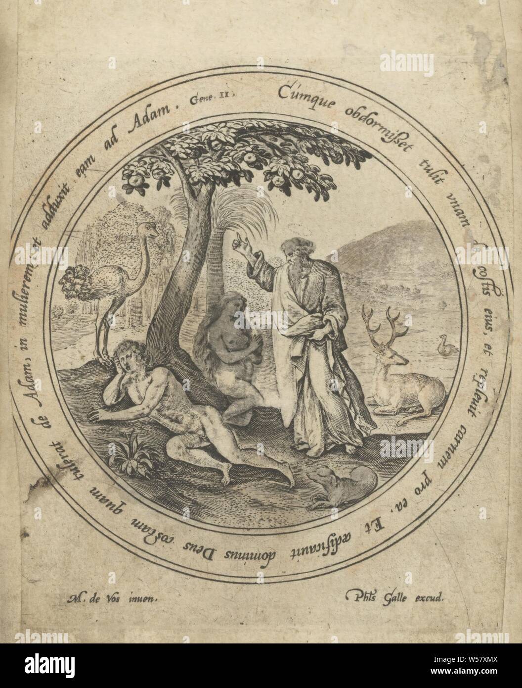 God creates adam -Fotos und -Bildmaterial in hoher Auflösung – Alamy