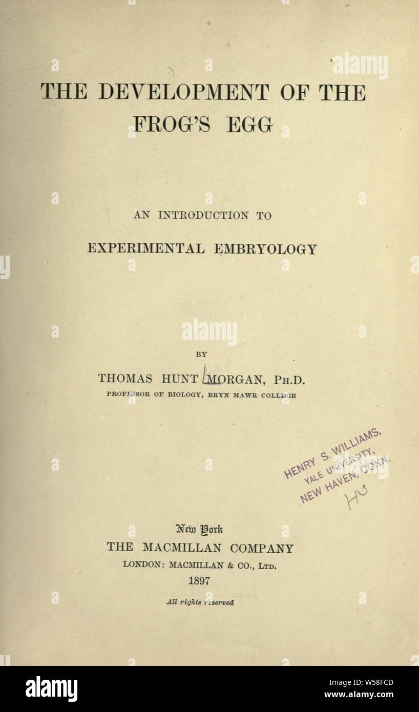 Thomas morgan -Fotos und -Bildmaterial in hoher Auflösung – Alamy