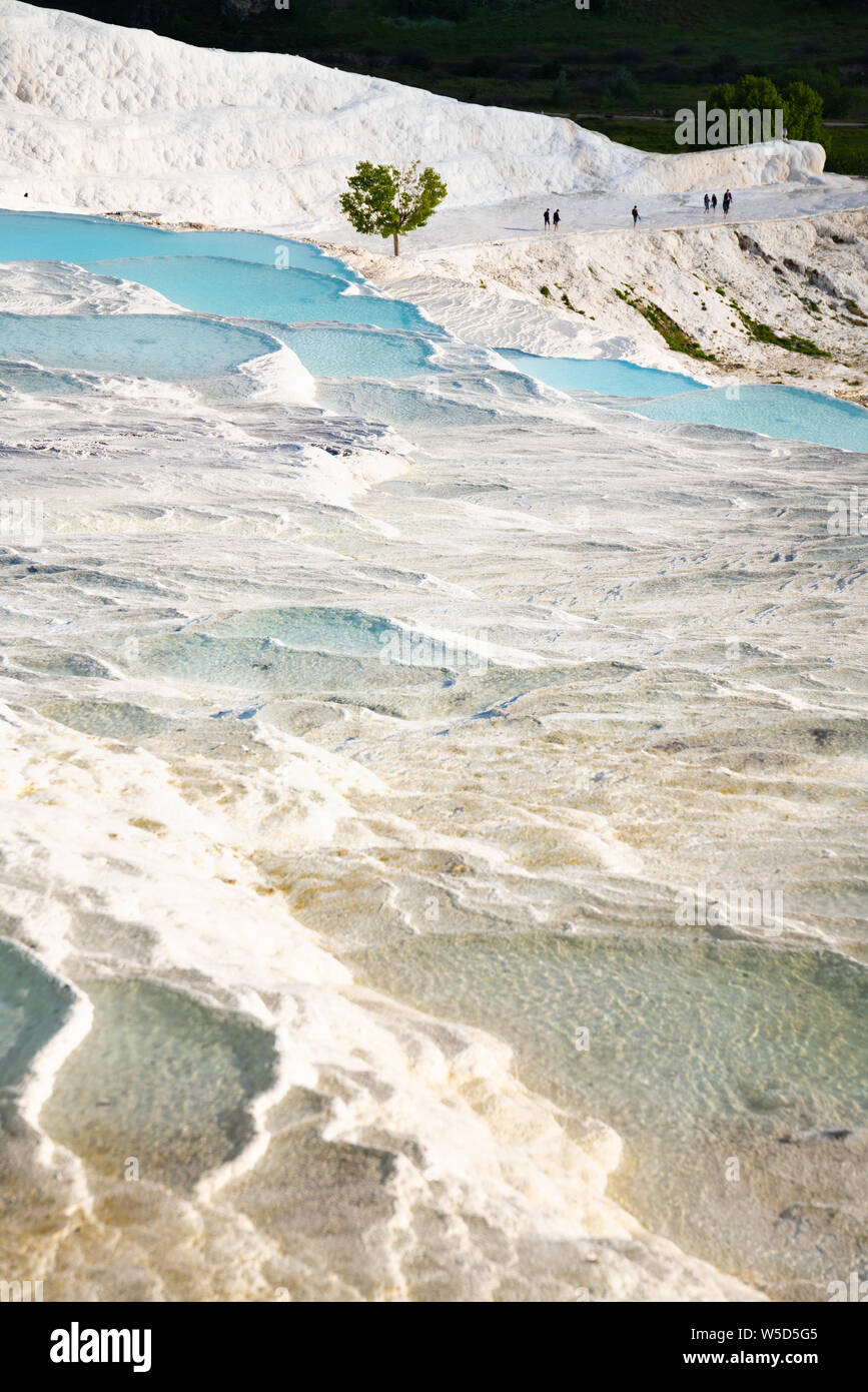 Pools in der landschaft -Fotos und -Bildmaterial in hoher Auflösung – Alamy