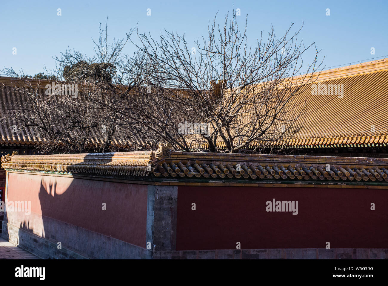 Ein Blick auf den Palast Museum, auch als die Verbotene Stadt in Peking ...
