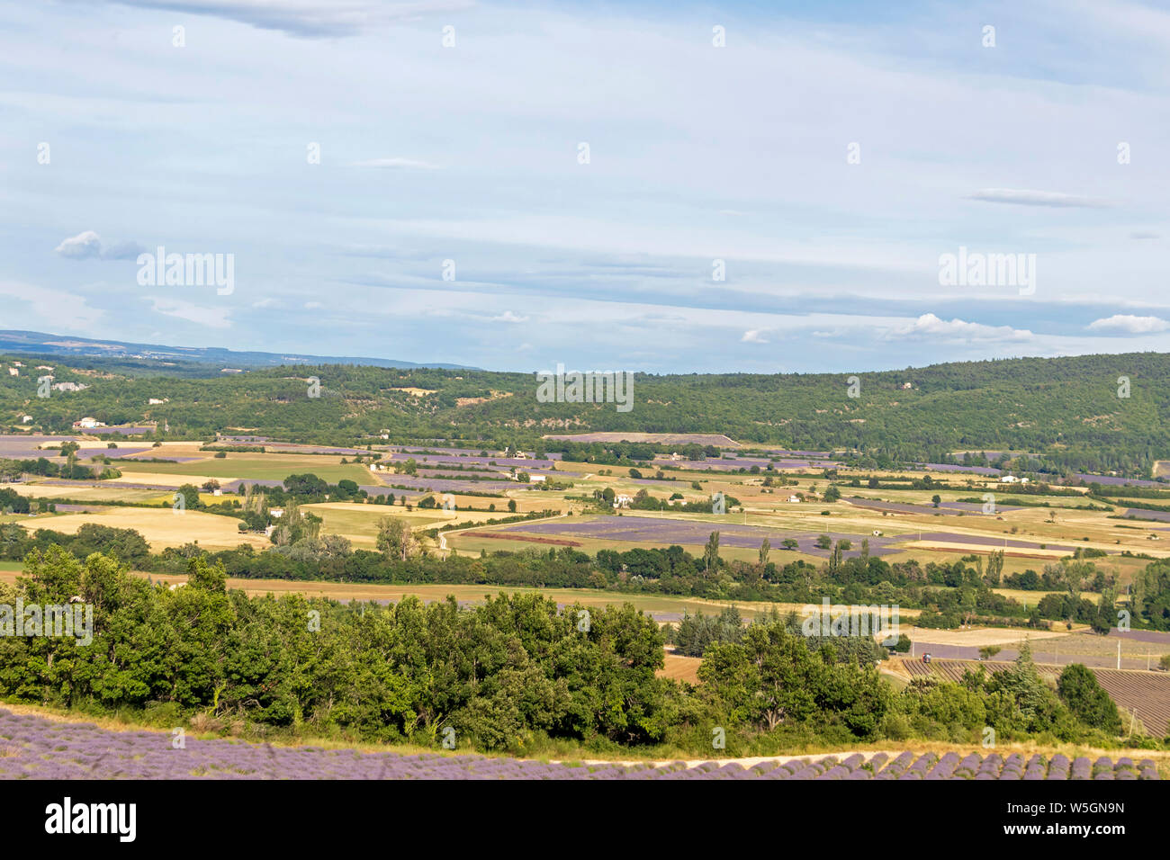 France provence sault vaucluse region -Fotos und -Bildmaterial in hoher ...