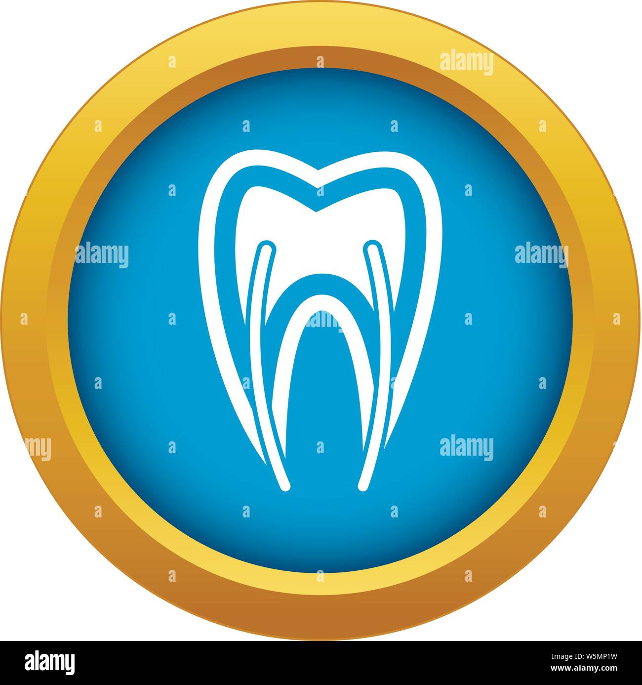 Zahnmedizin anatomie querschnitt Stock-Vektorgrafiken kaufen - Alamy