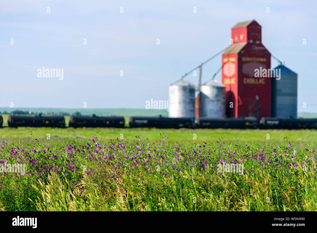 Getreideheber in cadillac saskatchewan -Fotos und -Bildmaterial in ...