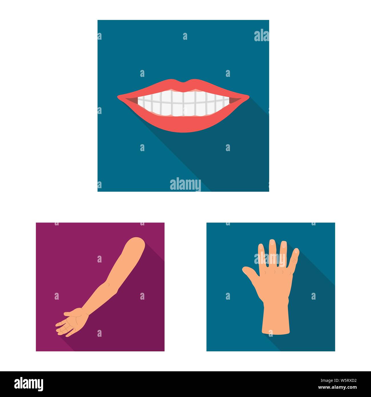 Vektor Design von Körper und Symbol. Sammlung von Körper und Anatomie ...