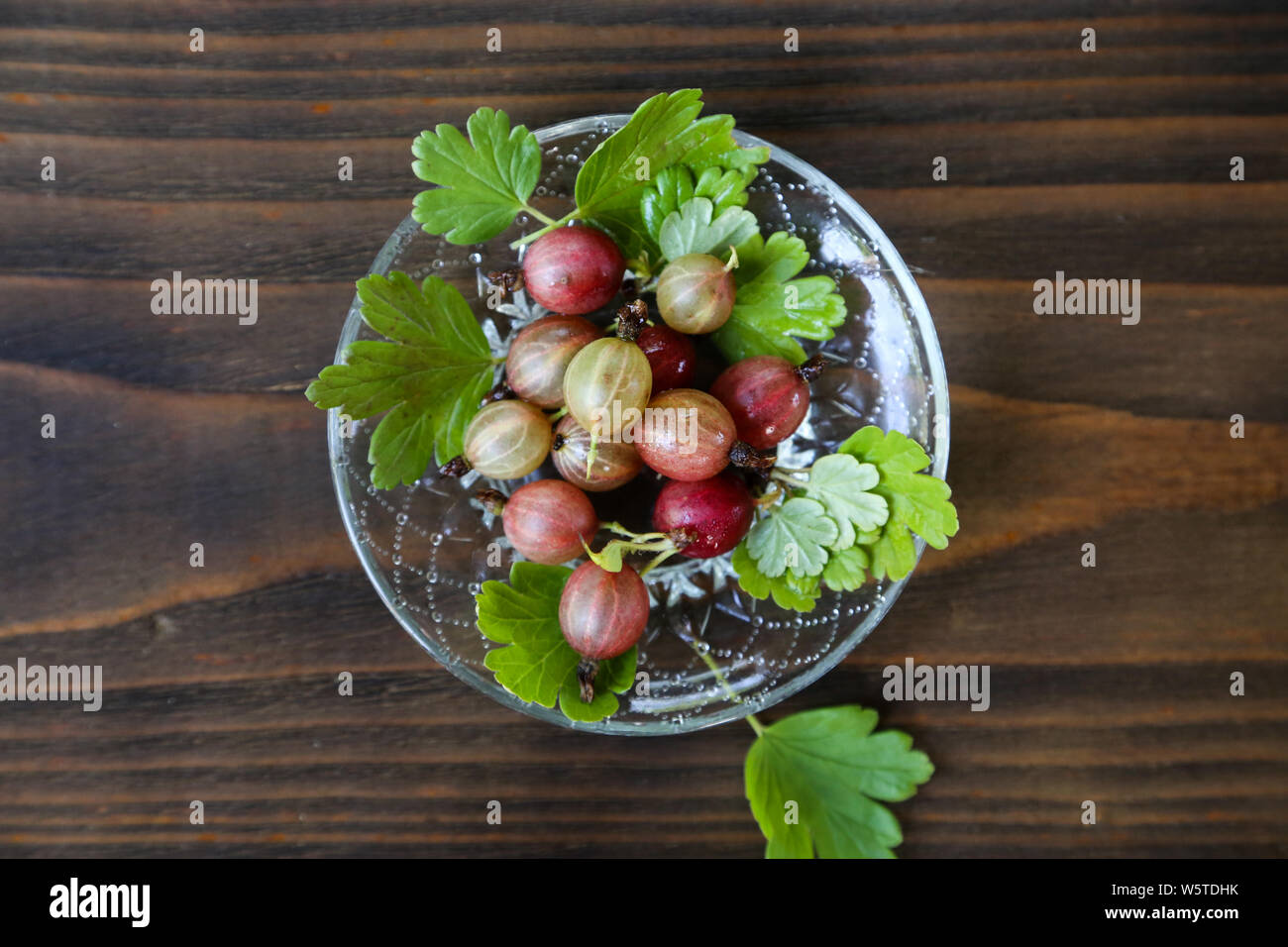 Gruppe der indischen stachelbeere Stockfotos und -bilder Kaufen - Alamy