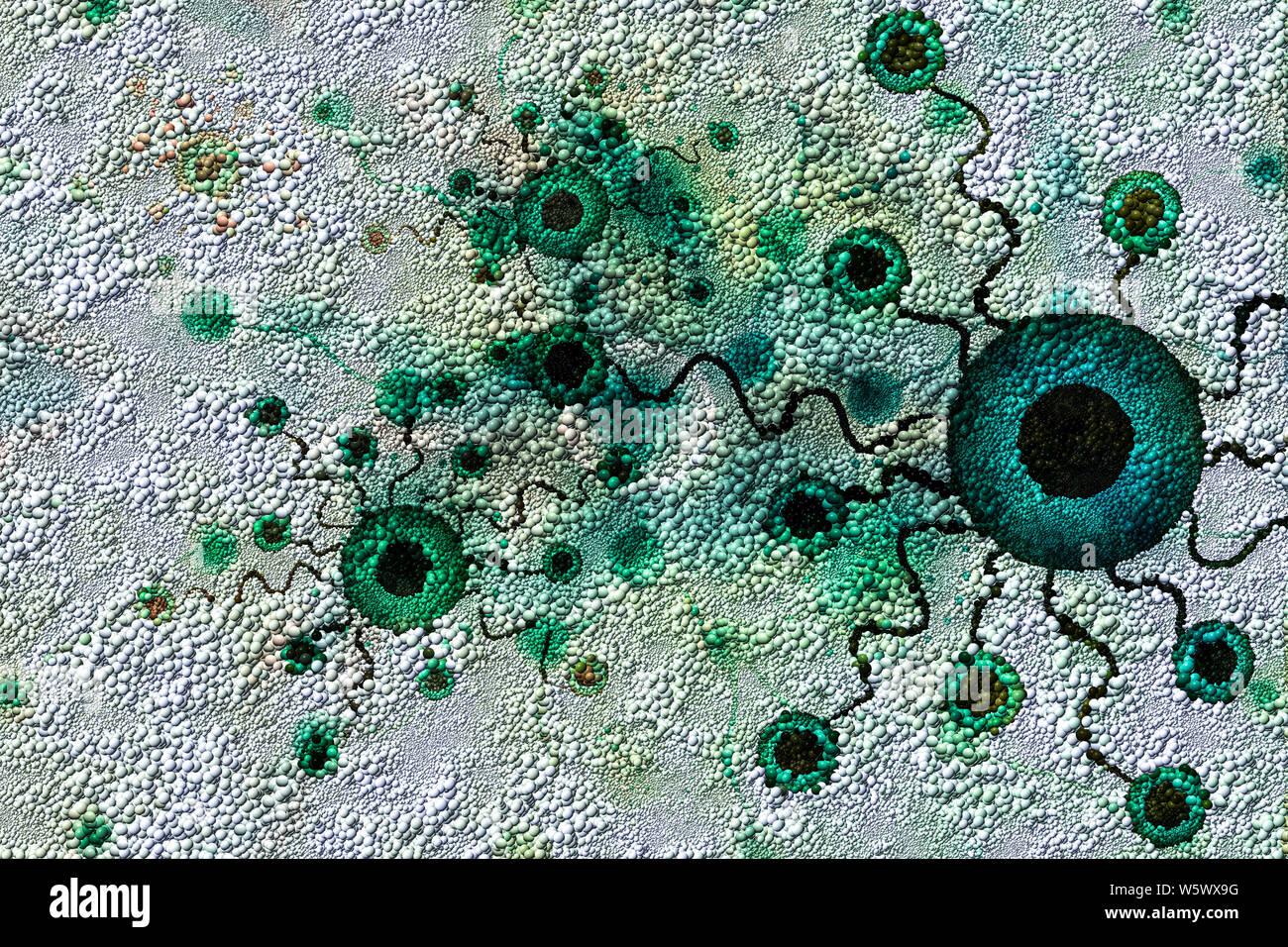 Biologie Hintergrund Stockfotos und -bilder Kaufen - Alamy