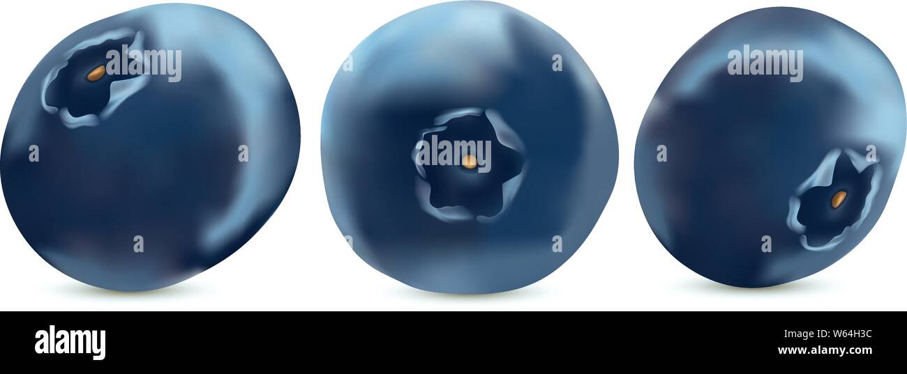 Wald Berry. 3d realistische Blueberry auf weißem Hintergrund. Symbole ...