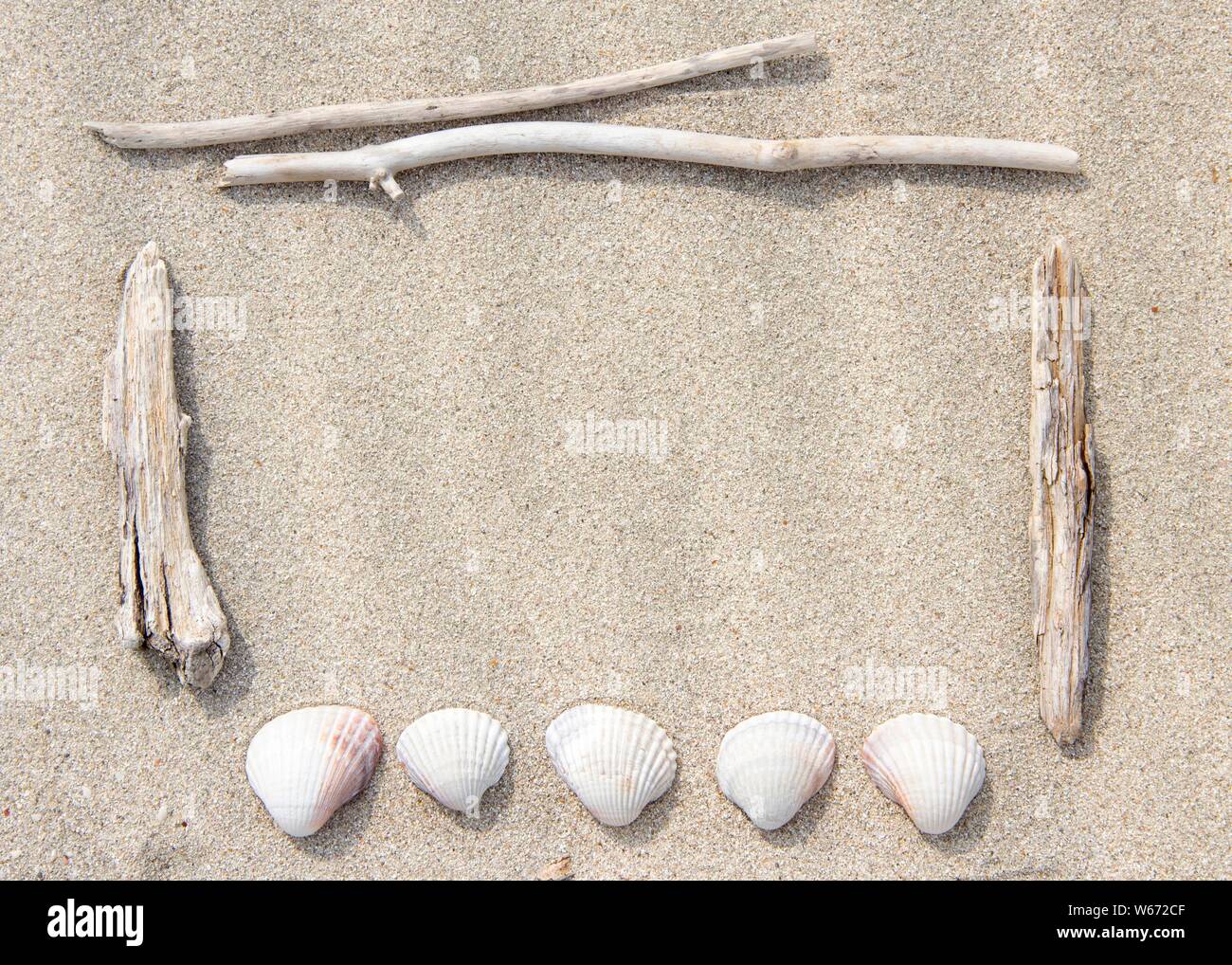 Goldener sand mit muschel -Fotos und -Bildmaterial in hoher Auflösung ...