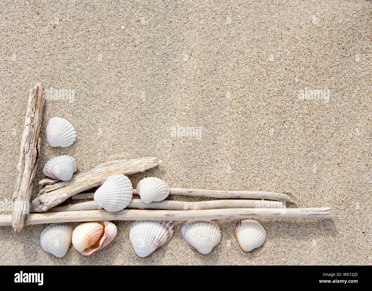 Muschel sand -Fotos und -Bildmaterial in hoher Auflösung – Alamy
