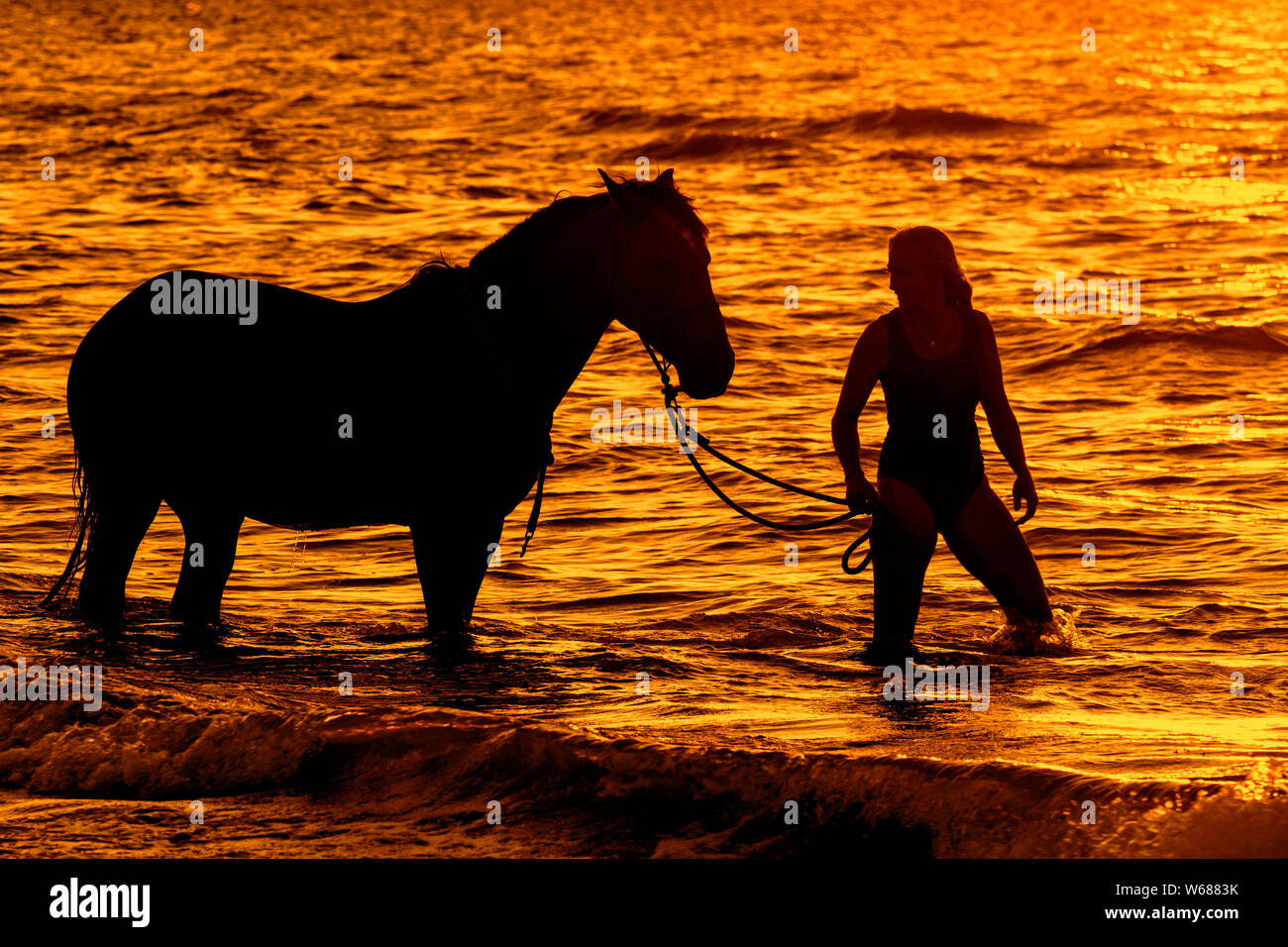 Reiterin/weibliche Reiterin Baden/Paddeln mit Pferd im seichten Wasser ...