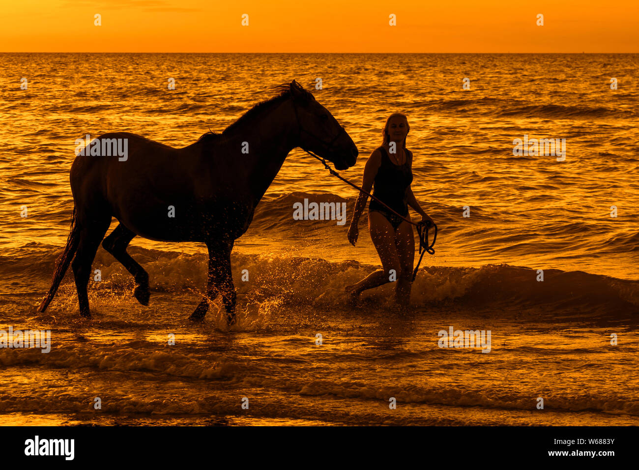 Sunset beach horse rider woman -Fotos und -Bildmaterial in hoher ...