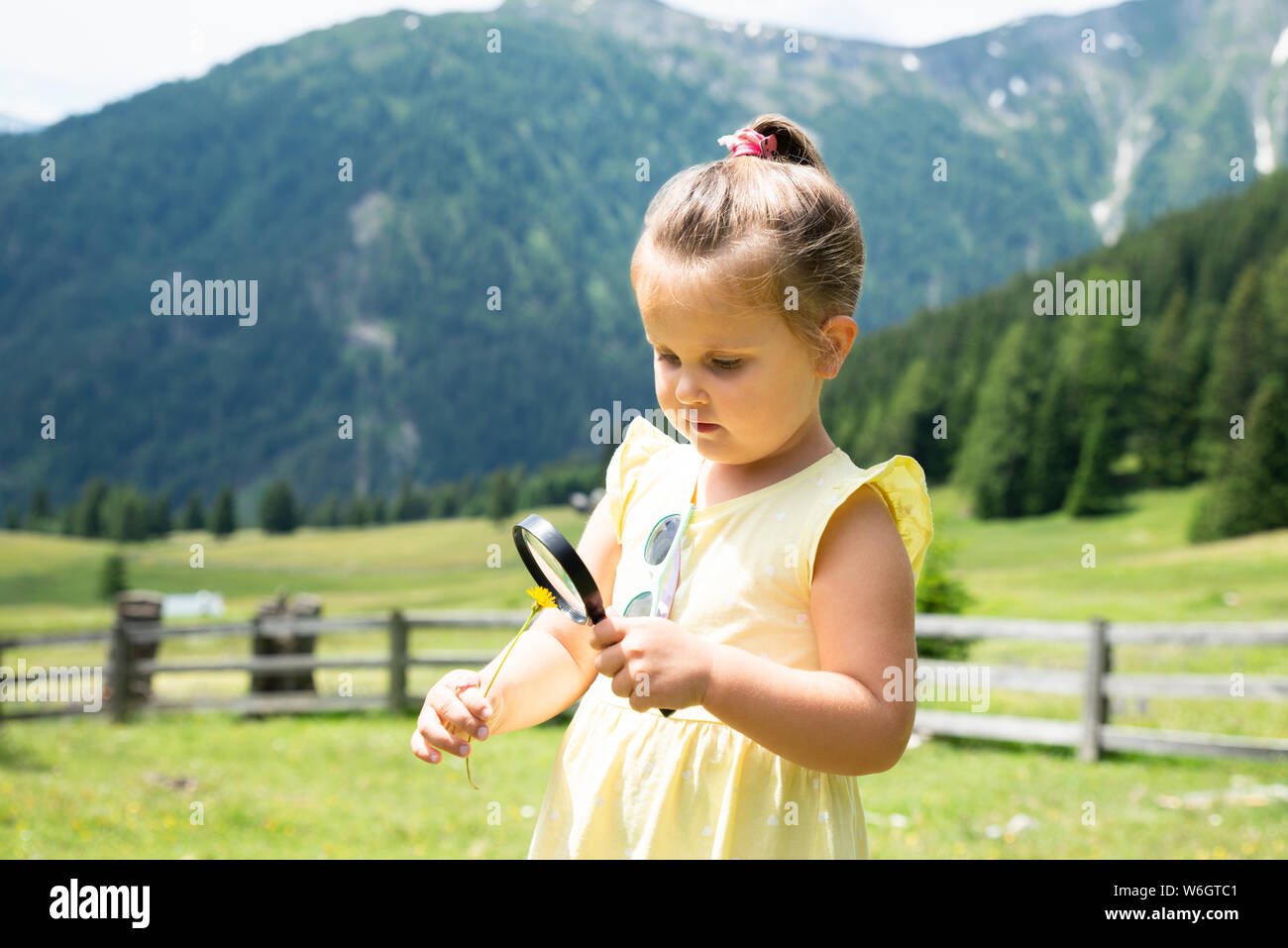 Blick durch die glasscheibe -Fotos und -Bildmaterial in hoher Auflösung ...