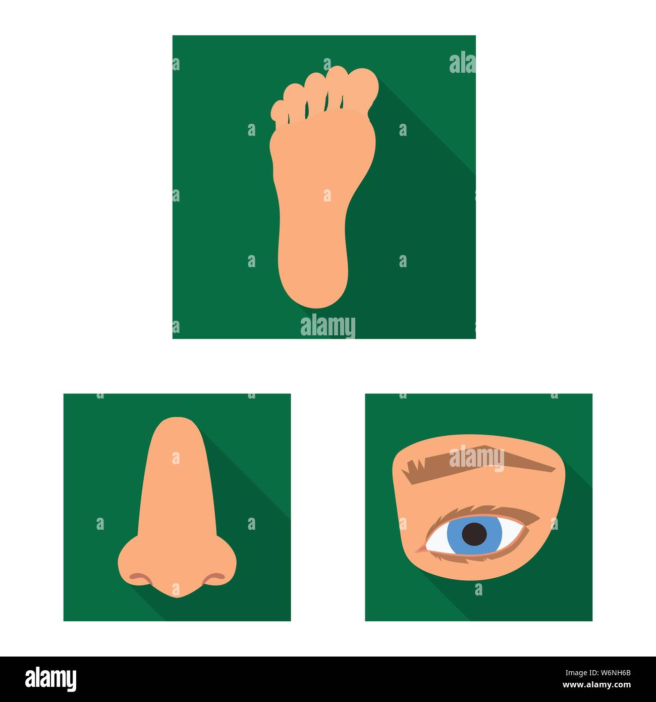 Isoliertes Objekt von Körper und Symbol. Sammlung von Körper und ...