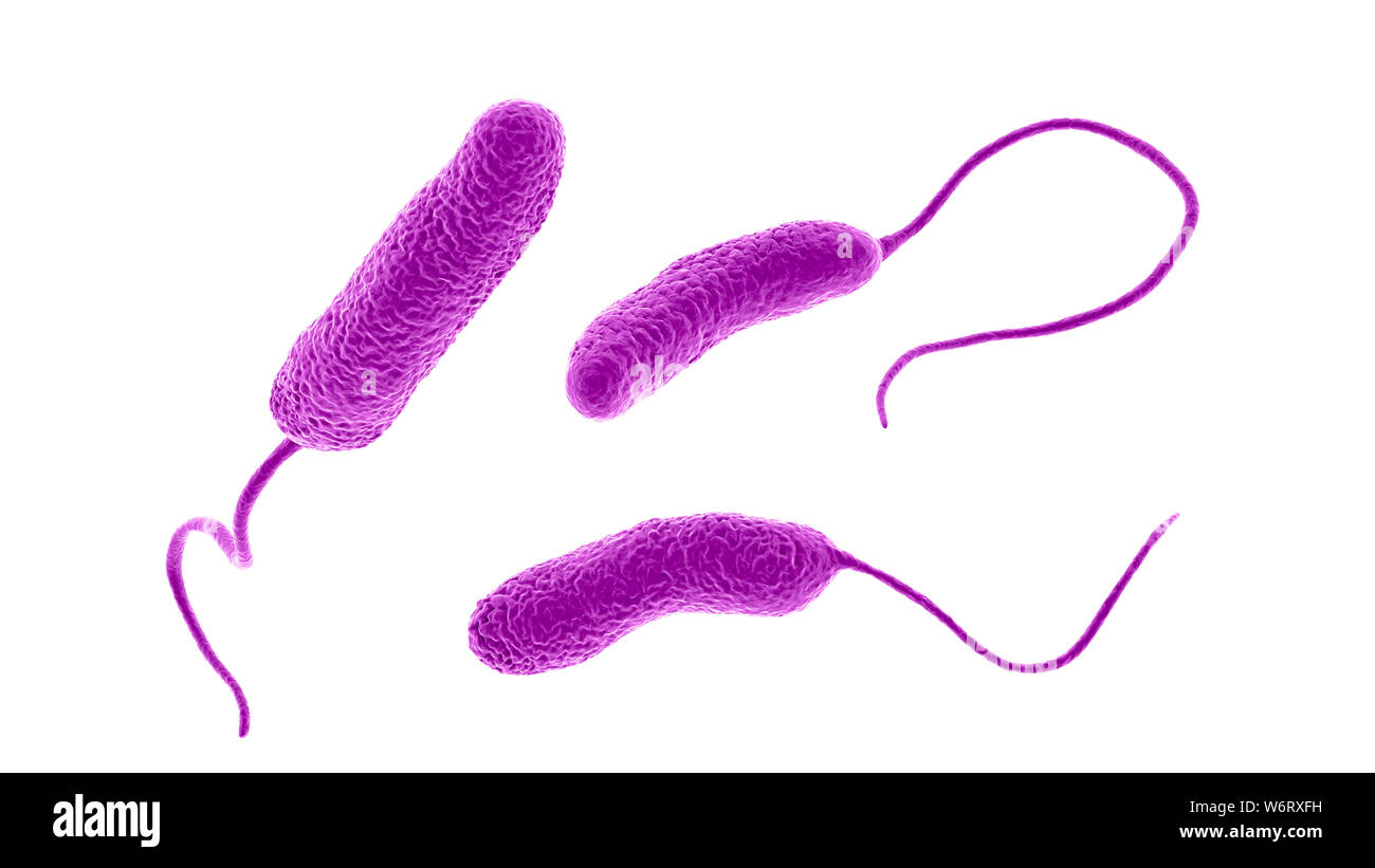 Mhet hydrolase mhetase -Fotos und -Bildmaterial in hoher Auflösung – Alamy