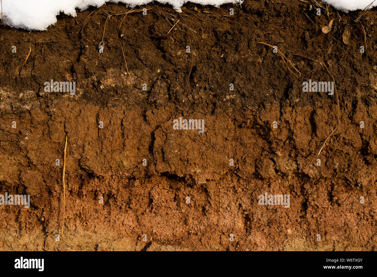 Boden geschnitten - Sandstein, Steine, Lehm, Sand Struktur und ...