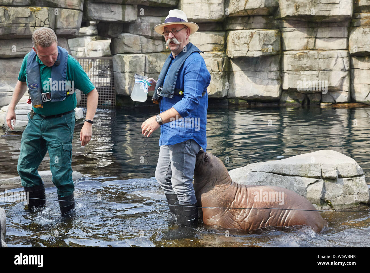 Horst wendt -Fotos und -Bildmaterial in hoher Auflösung – Alamy