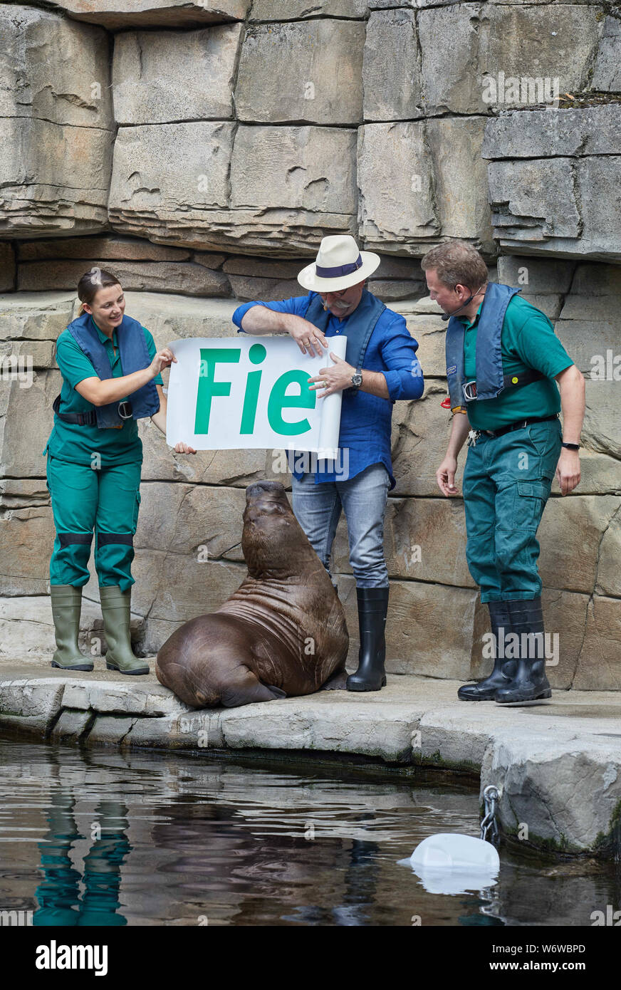 Horst wendt -Fotos und -Bildmaterial in hoher Auflösung – Alamy