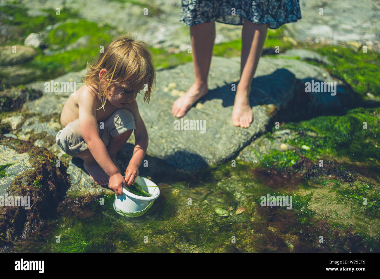 Kleinkind mit eimer am strand -Fotos und -Bildmaterial in hoher ...