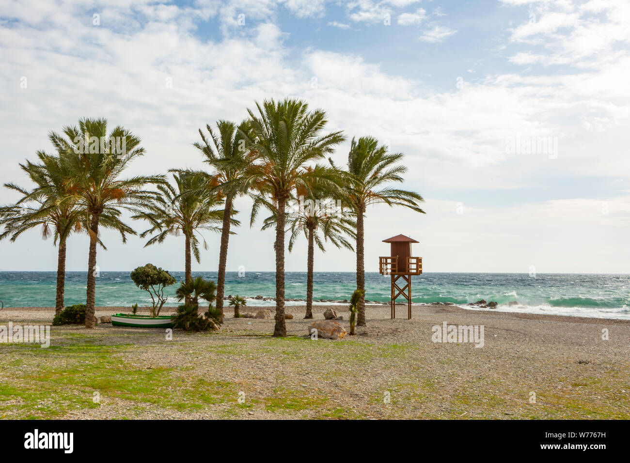 Palme im winter -Fotos und -Bildmaterial in hoher Auflösung – Alamy