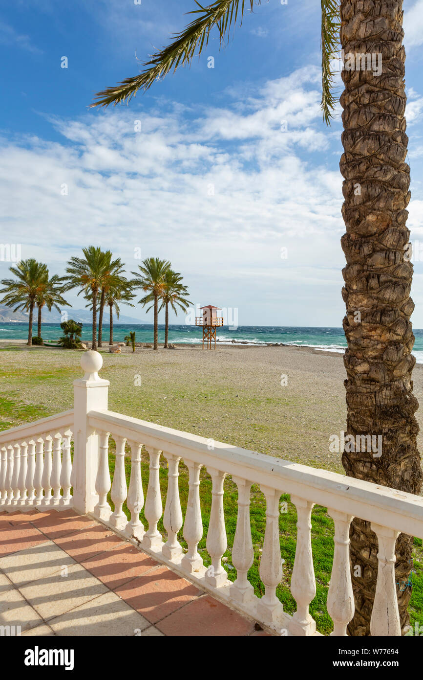 Palme im winter -Fotos und -Bildmaterial in hoher Auflösung – Alamy