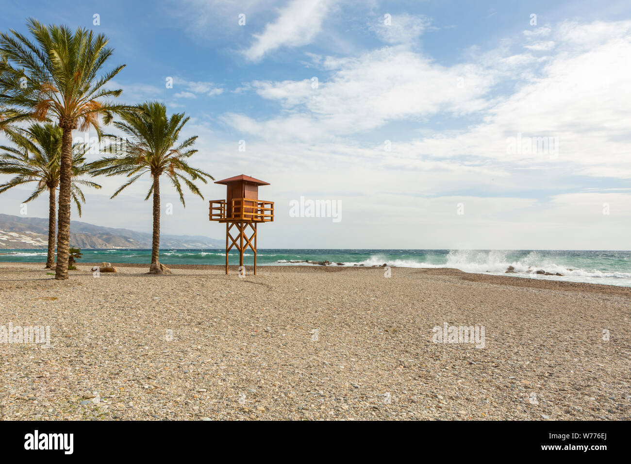 Palme im winter -Fotos und -Bildmaterial in hoher Auflösung – Alamy