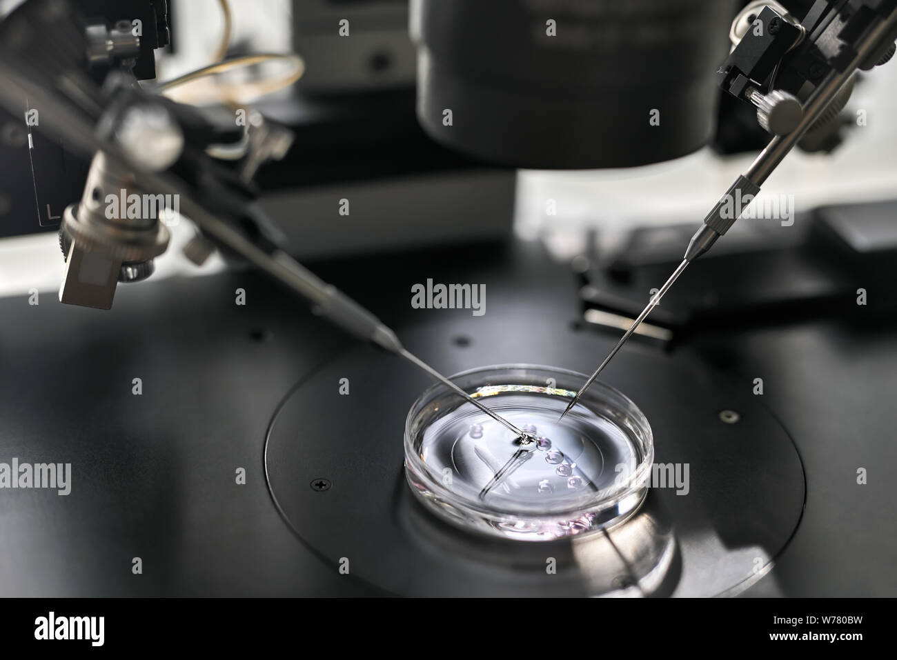 Ivf Verfahren Stockfotos und -bilder Kaufen - Alamy