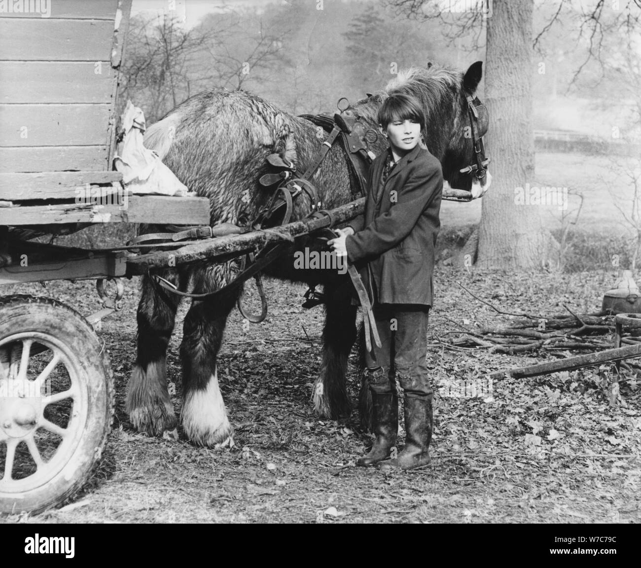 Tony boxall -Fotos und -Bildmaterial in hoher Auflösung – Alamy