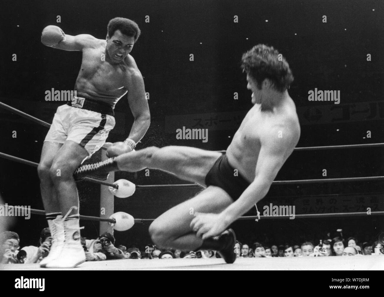 Anthony inoki -Fotos und -Bildmaterial in hoher Auflösung – Alamy