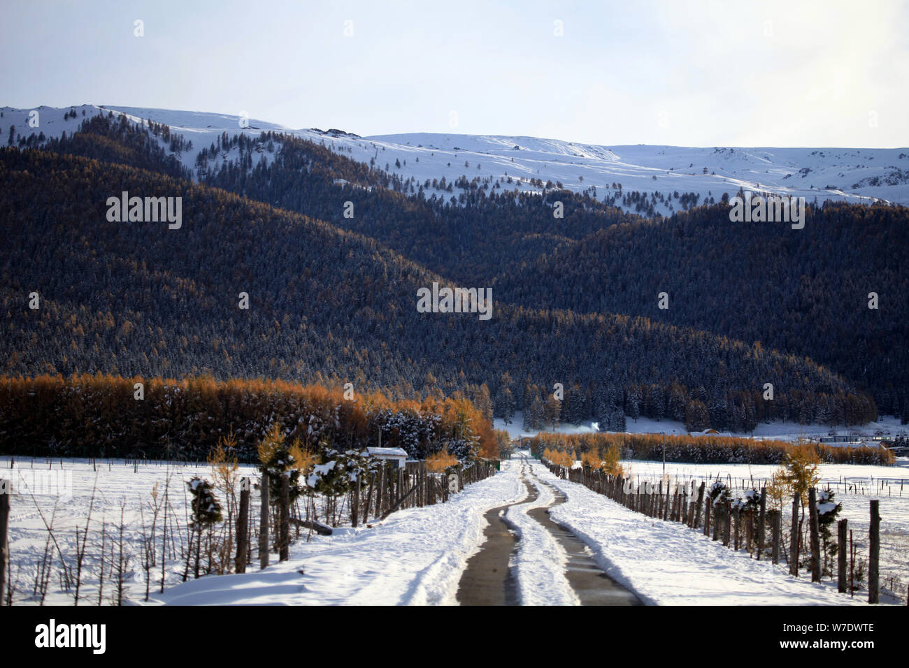 Balikun -Fotos und -Bildmaterial in hoher Auflösung – Alamy