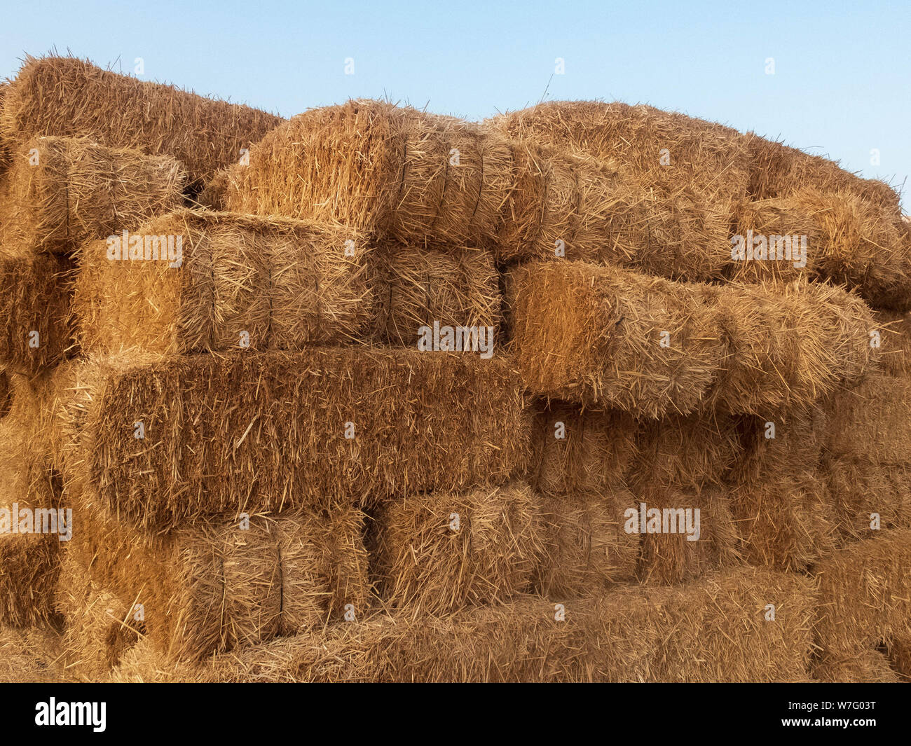 Futter gestapelt heu stroh bauernhof -Fotos und -Bildmaterial in hoher ...
