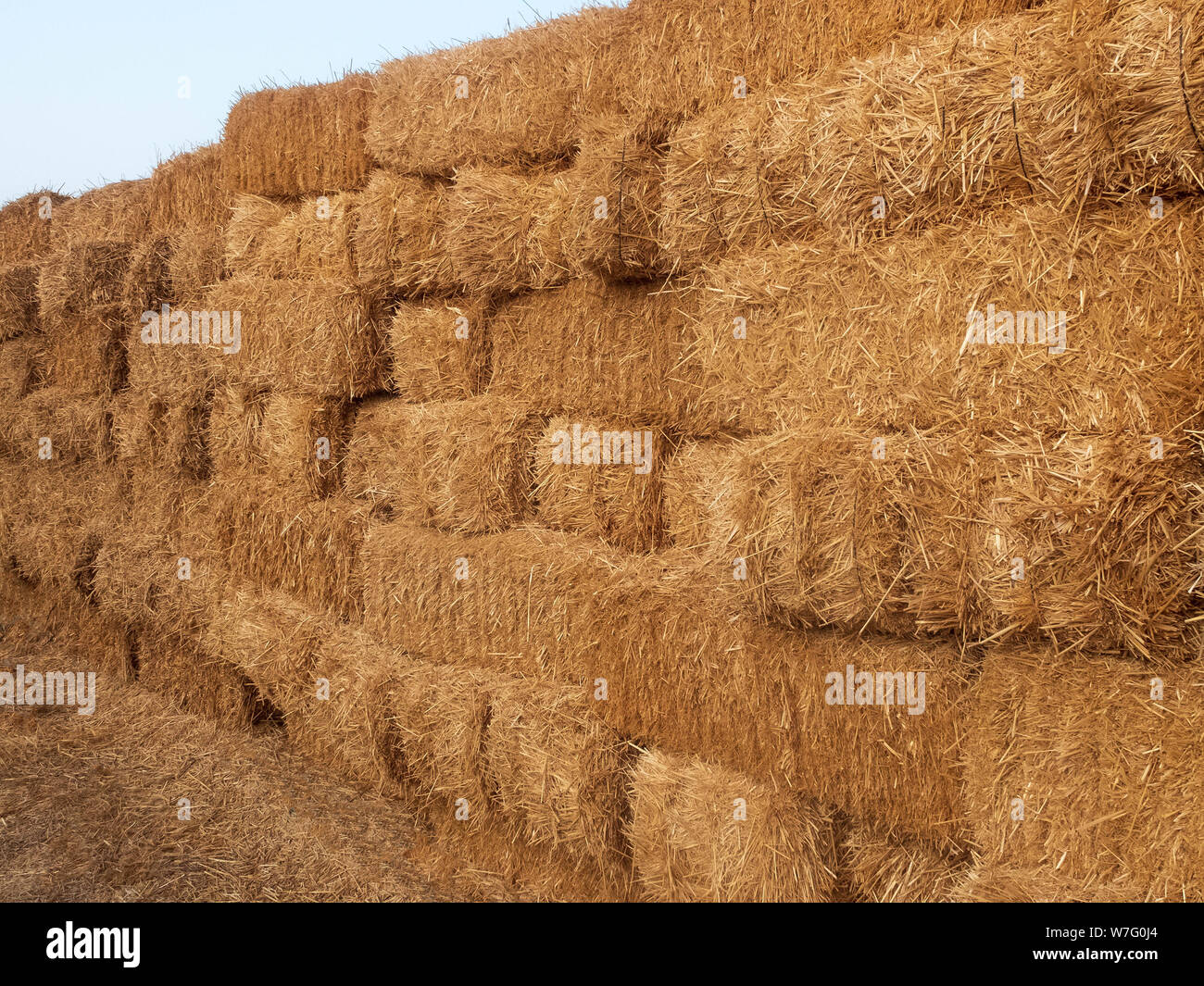Futter gestapelt heu stroh bauernhof -Fotos und -Bildmaterial in hoher ...