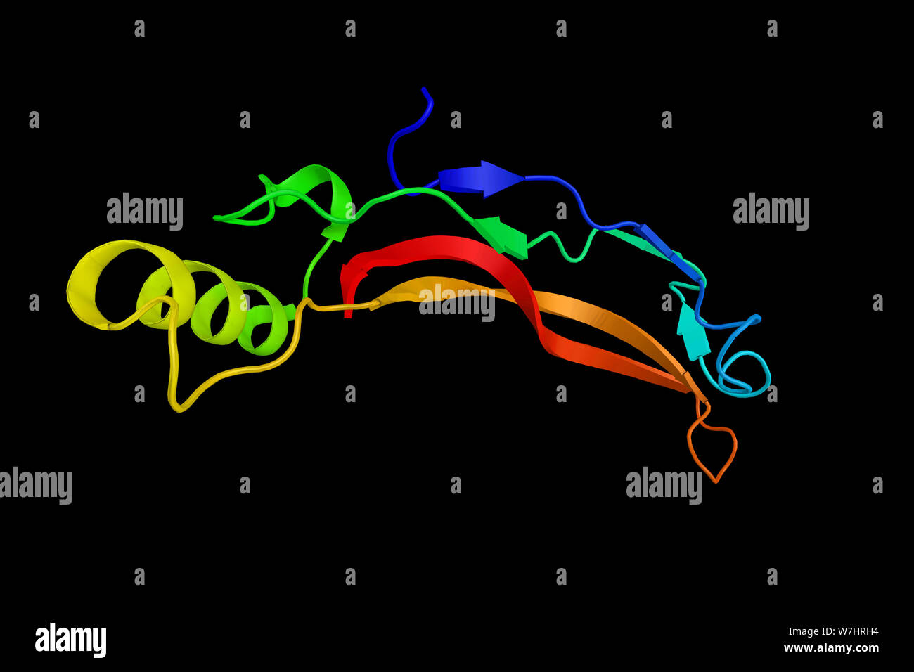 Neuronale differenzierung -Fotos und -Bildmaterial in hoher Auflösung ...