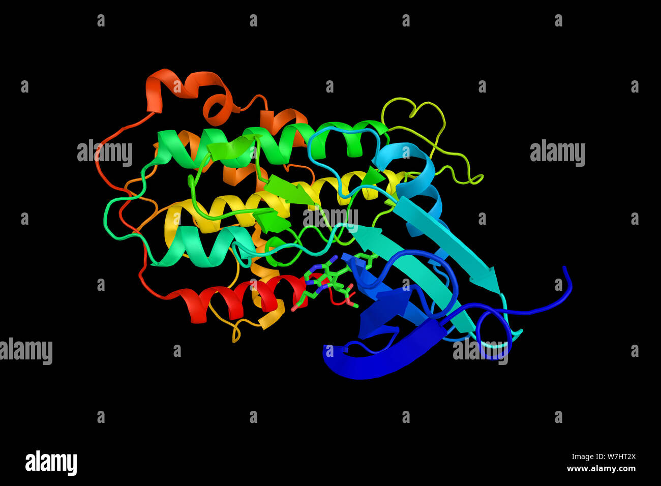 Ribosomale Protein S6 Kinase, 90 kDa, polypeptid 3, einem Enzym, das ...