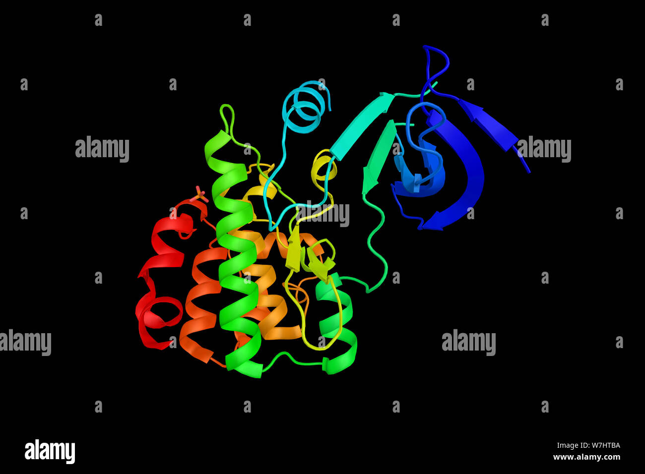 Aufbau des nephrons -Fotos und -Bildmaterial in hoher Auflösung – Alamy