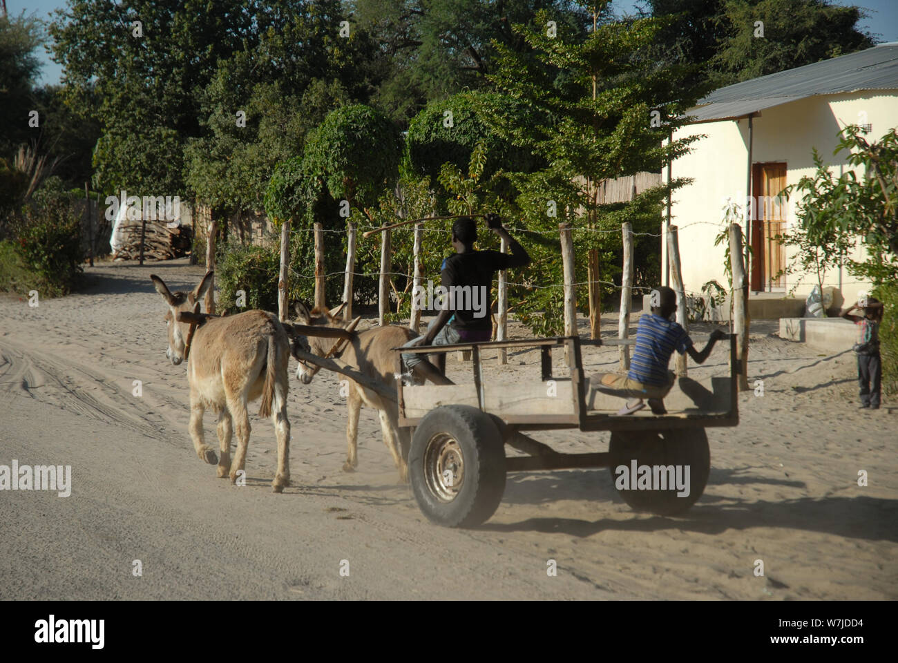 Esel lkw -Fotos und -Bildmaterial in hoher Auflösung – Alamy