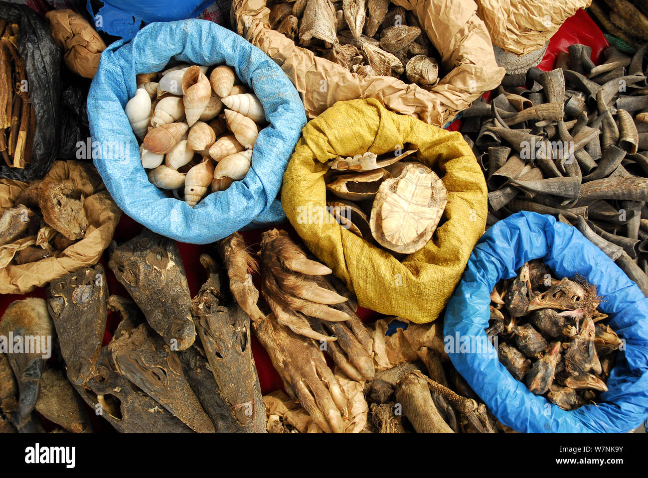 Sandaga market dakar -Fotos und -Bildmaterial in hoher Auflösung – Alamy