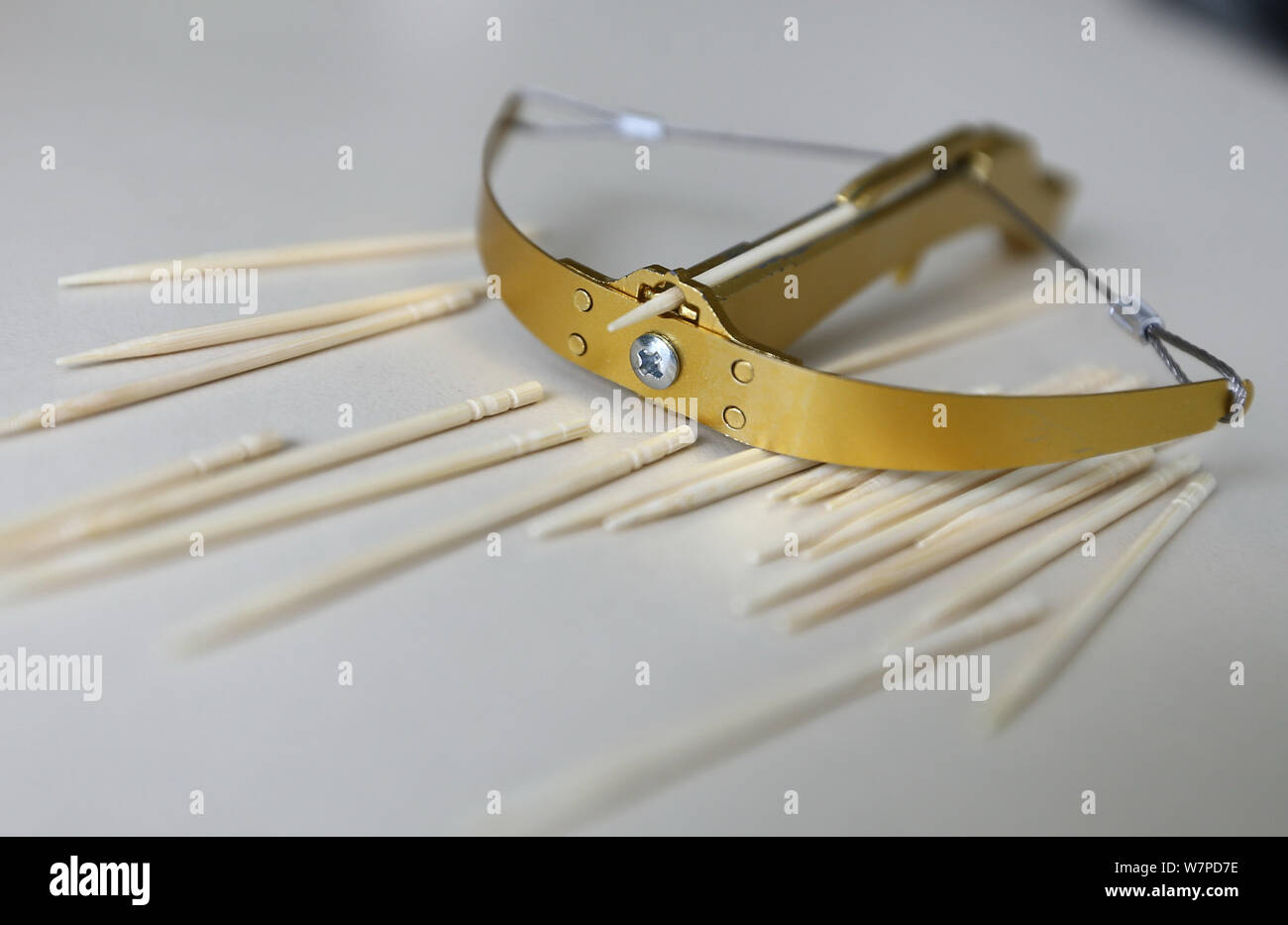 Zahnstocher Armbrust Kaufen